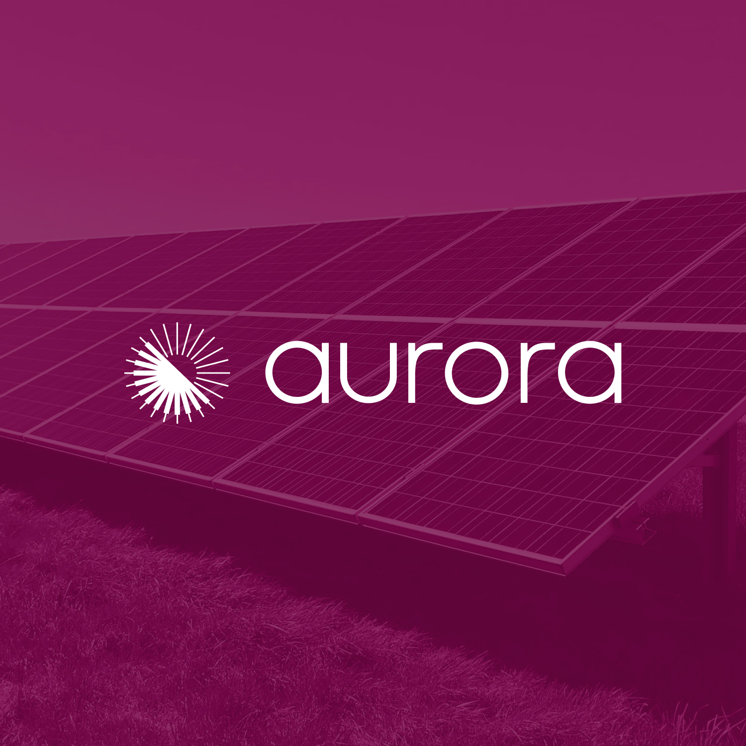 Aurora Solar | Cory Hess